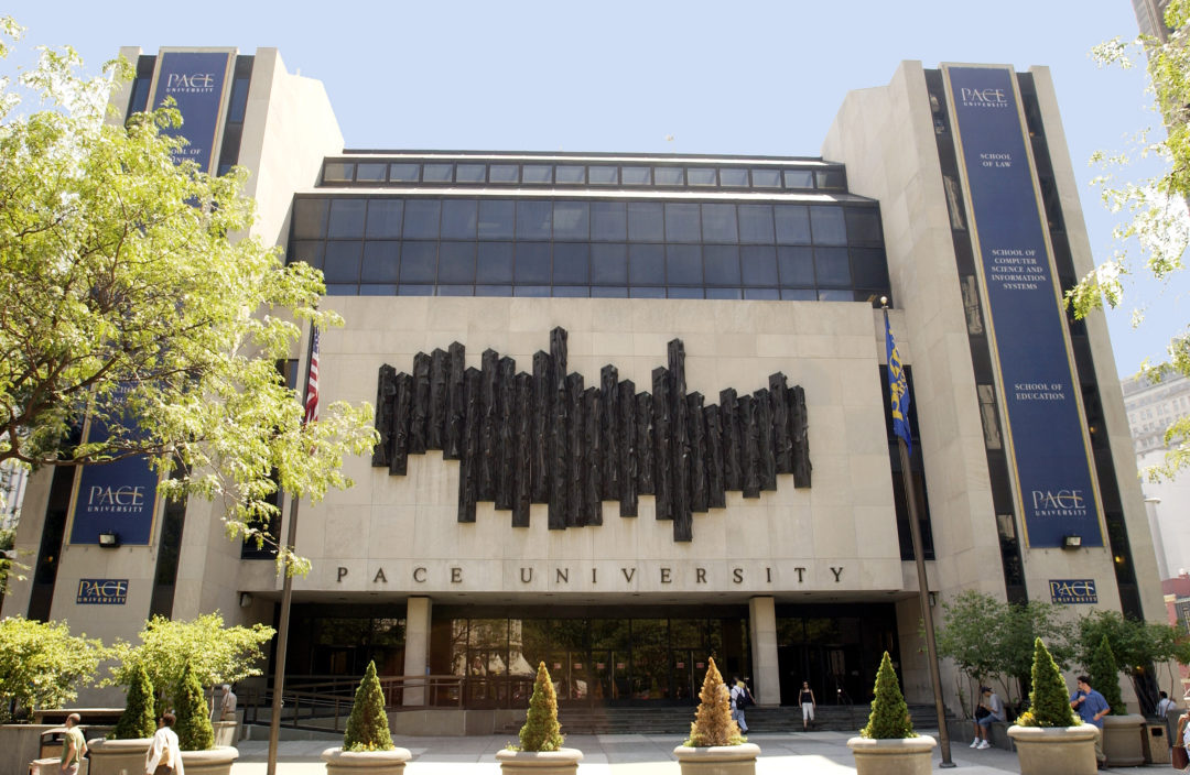Pace University Launches PhD in Nursing Program on Pleasantville Campus ...