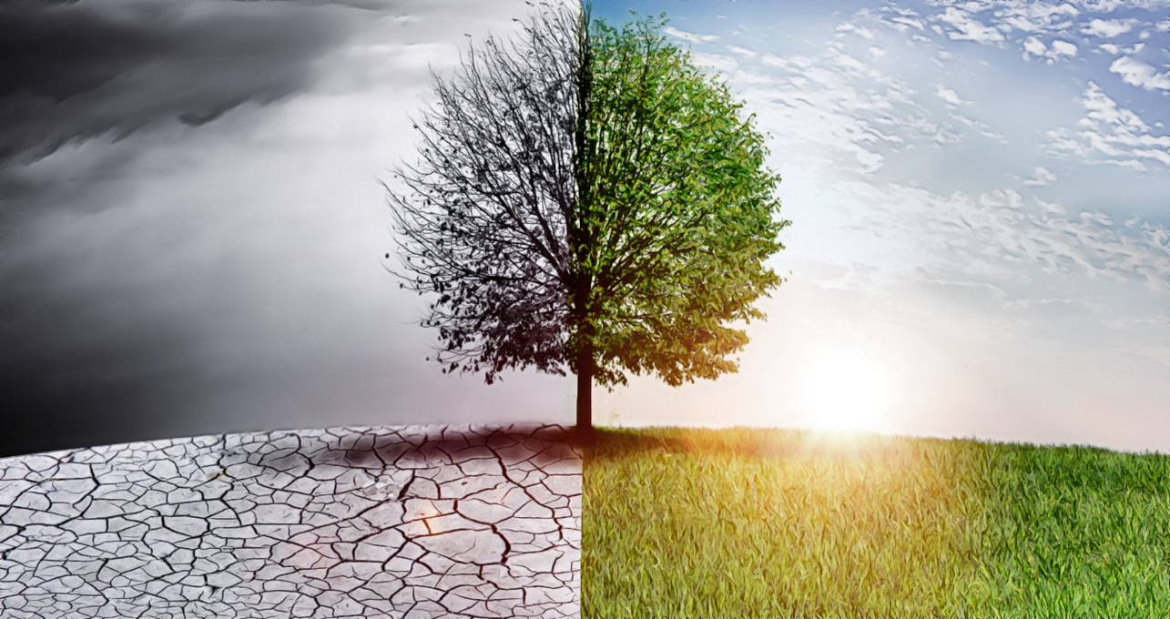 Climate Change in Health Care Gains Foothold in Nursing Curriculum ...