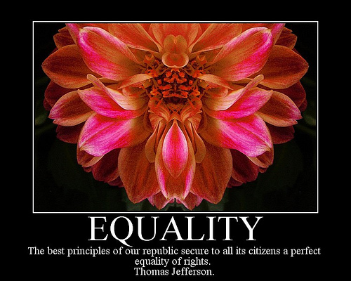 Equality First | Tips & Insights for Professionals